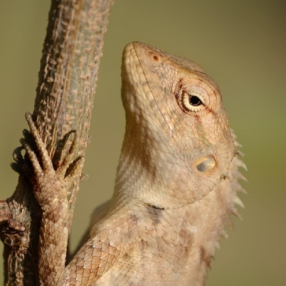 Bomamba Trading – Bomamba Trading