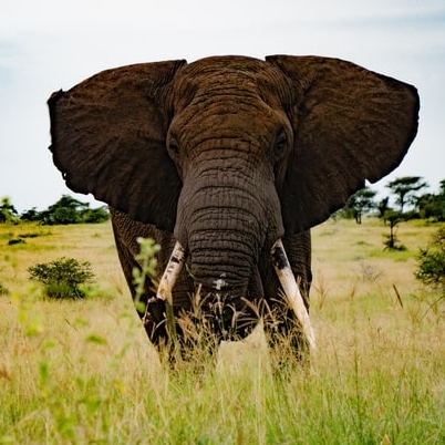 Bomamba Trading – Bomamba Trading